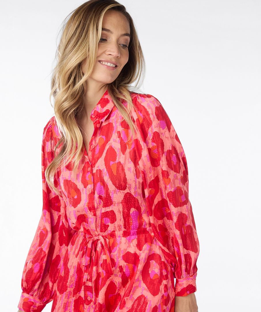Final Sale Floria Fancy Animal Print Long Dress - EsQualo SP2415000 ...
